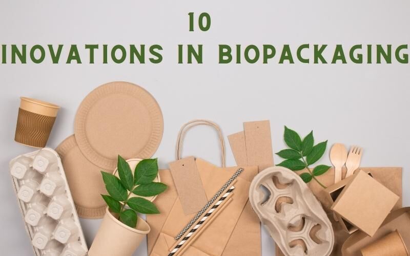 The Rise of Bioplastics: A Greener Future for Packaging